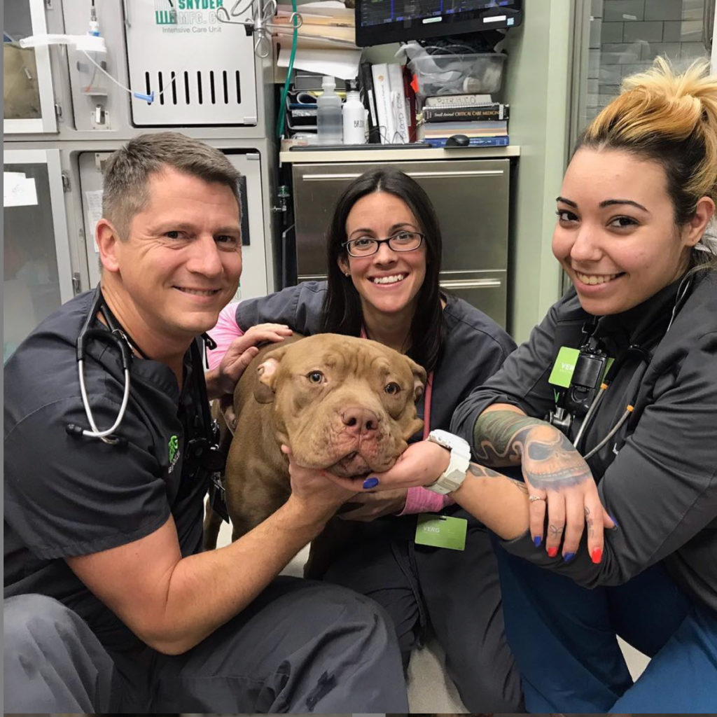 Lucius – Positive Tails